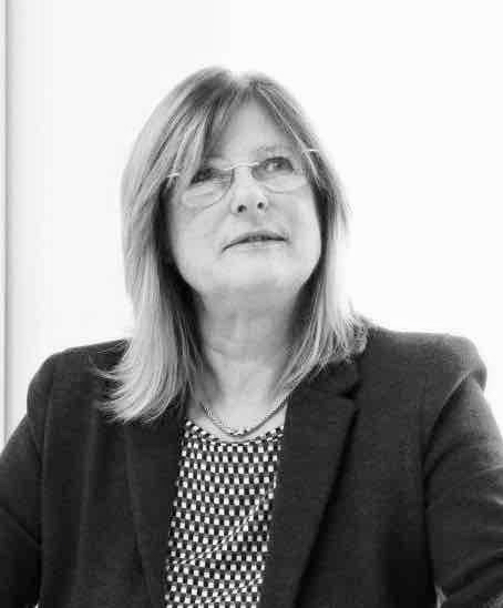 ACBGroup Spa > Silva Sturzi